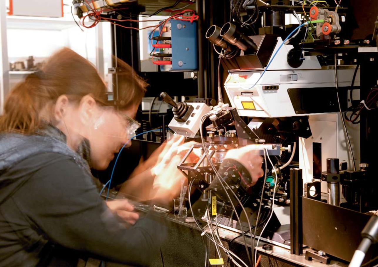 Biography - Dr. Ulrike Boehm