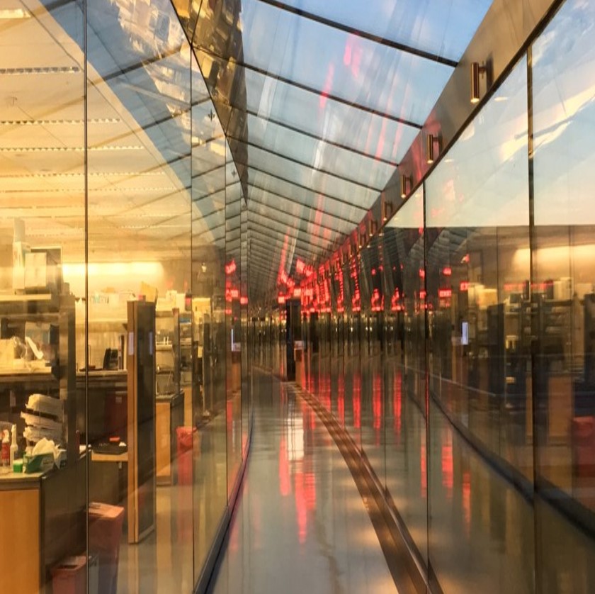 Janelia Research Campus – Dr. Ulrike Boehm